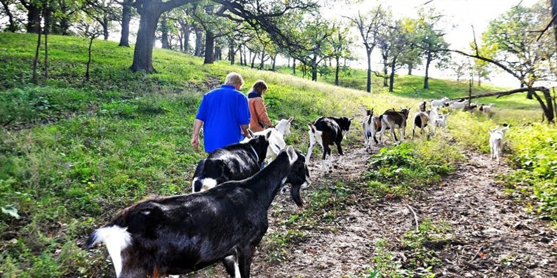 Goat Trek and Treats - August 7 - Honey Creek, Iowa
