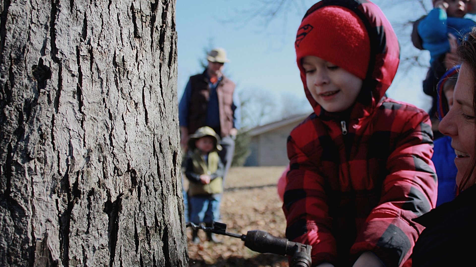 Homeschool in the Hills: Maple Tree Tap - March 3 - Hancock, Iowa