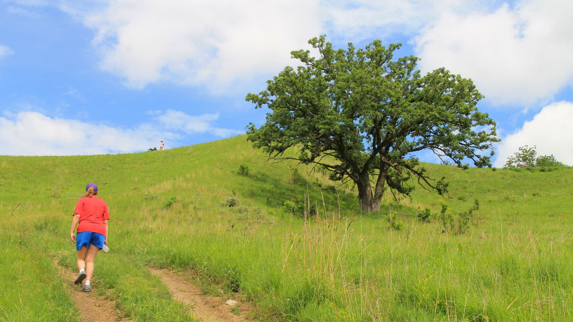 Meander & Gander | A Mindfulness in Nature Program with Lindsay Knieper ...