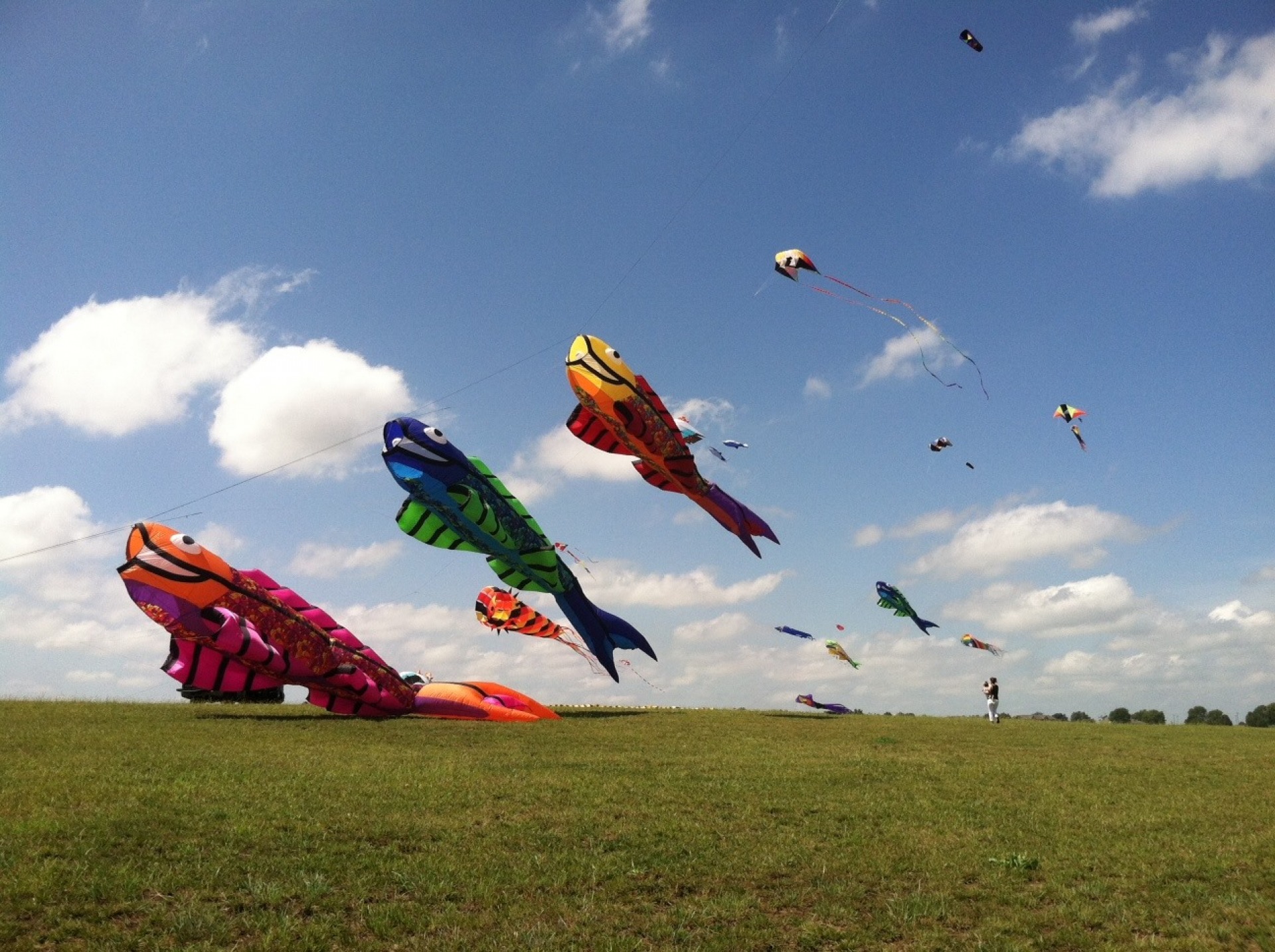 Midwest Winds Kite Flyers at Ditmars Orchard - September 19 - Council ...